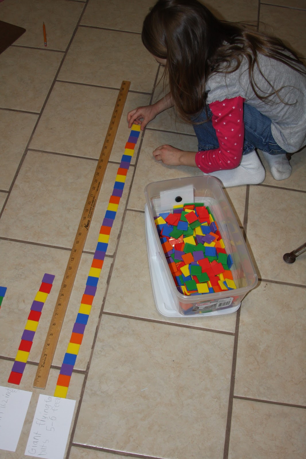 A Learning Journey: Batty Measurements: Wingspan Comparisons