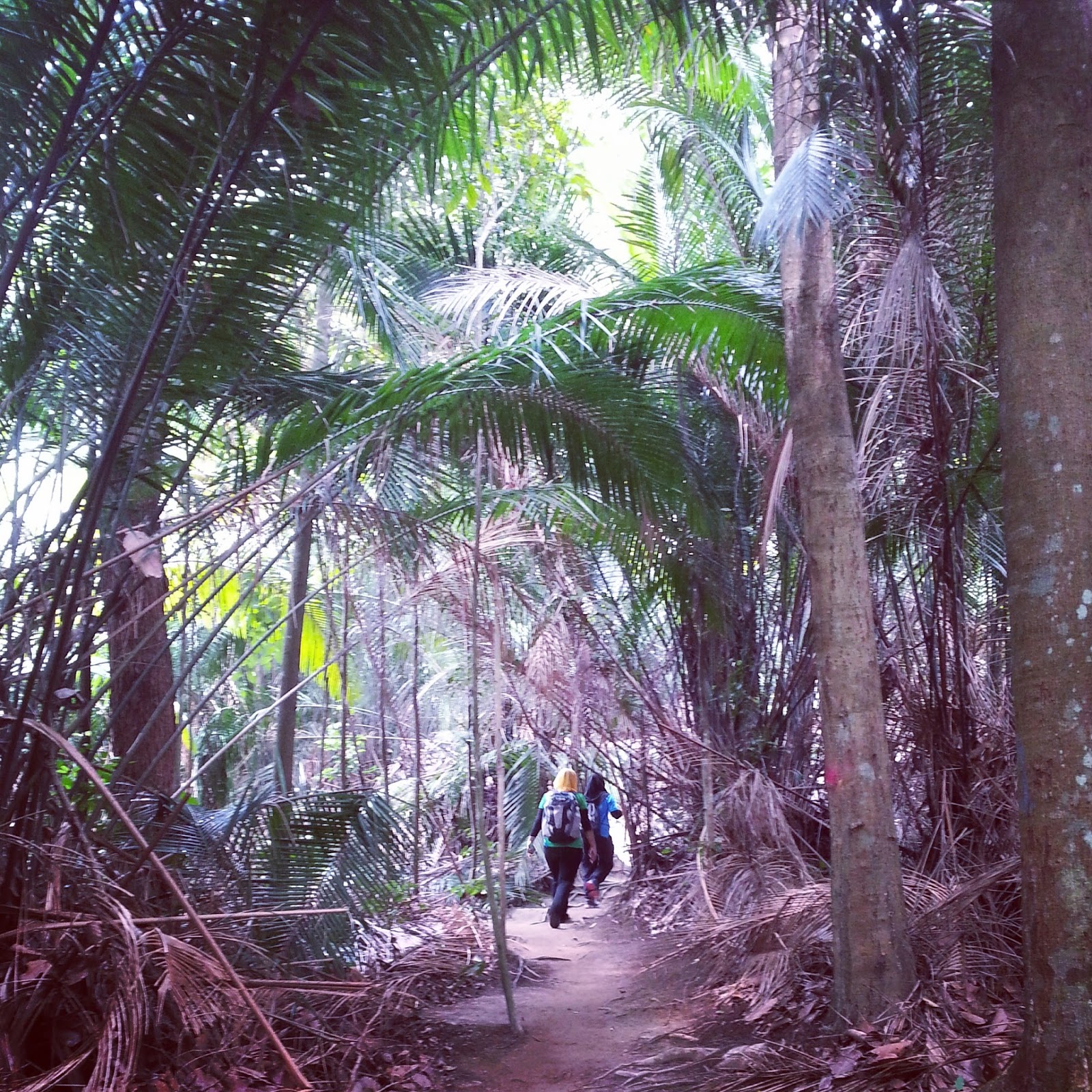 Air Terjun Sungai Putih Bukit Saga / Saga Hill