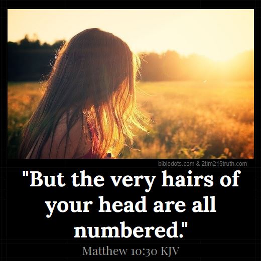 2 Timothy 2:15 Truth: Verse of the Day: Matthew 10:30 KJV