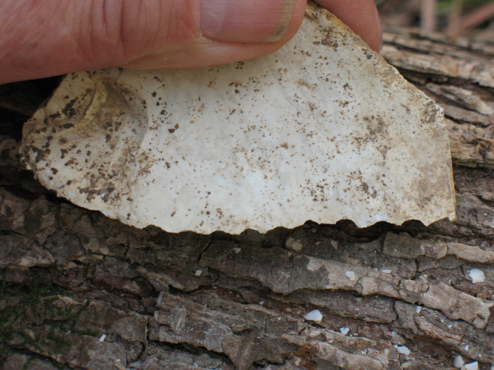 Sensible Survival: How to Make a Stone Hand Saw