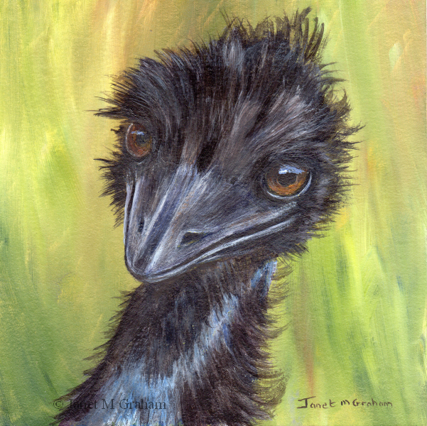 Janet M Graham's Painting Blog: Emu in acrylics