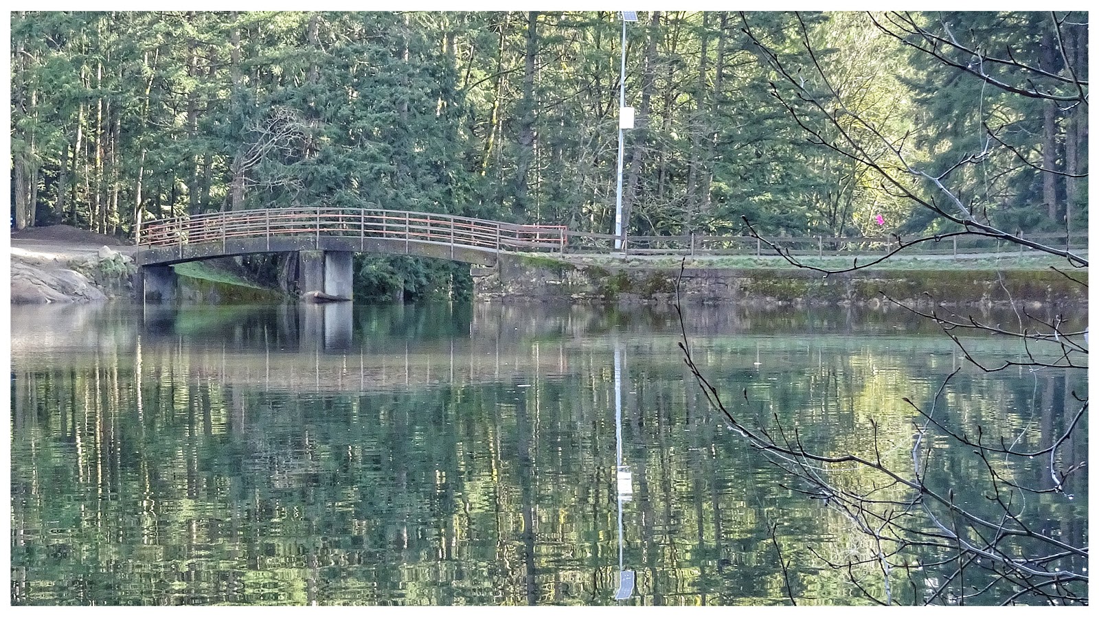 20+ Parks in Nanaimo: Colliery Dam