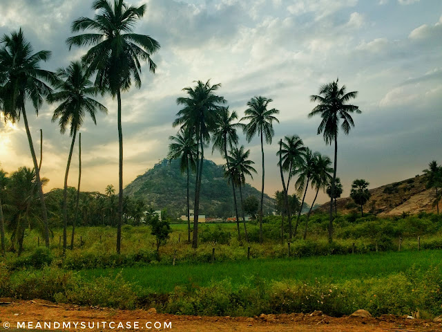 Top 5 things to do in Coimbatore