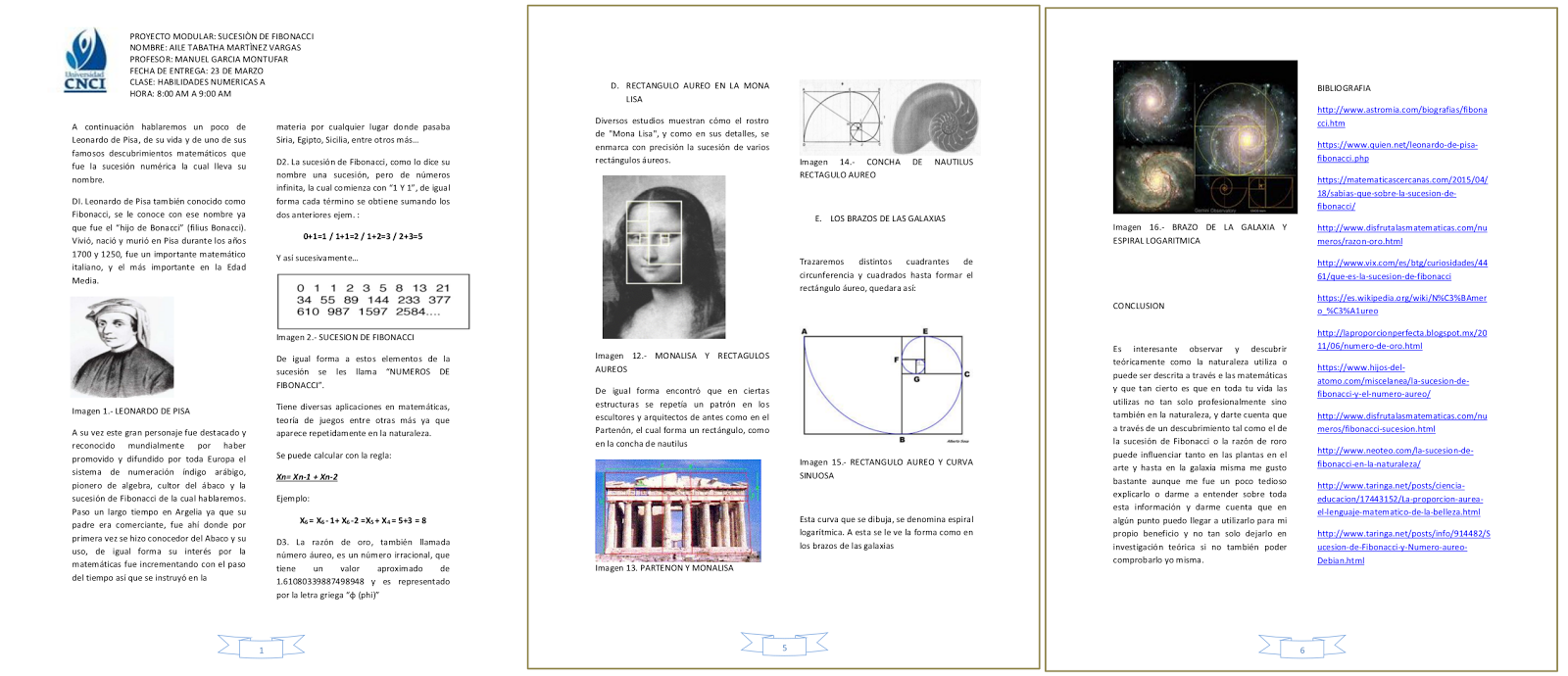 Ciencias Exactas - CNCI - Ajusco: Como hacer el Proyecto Modular