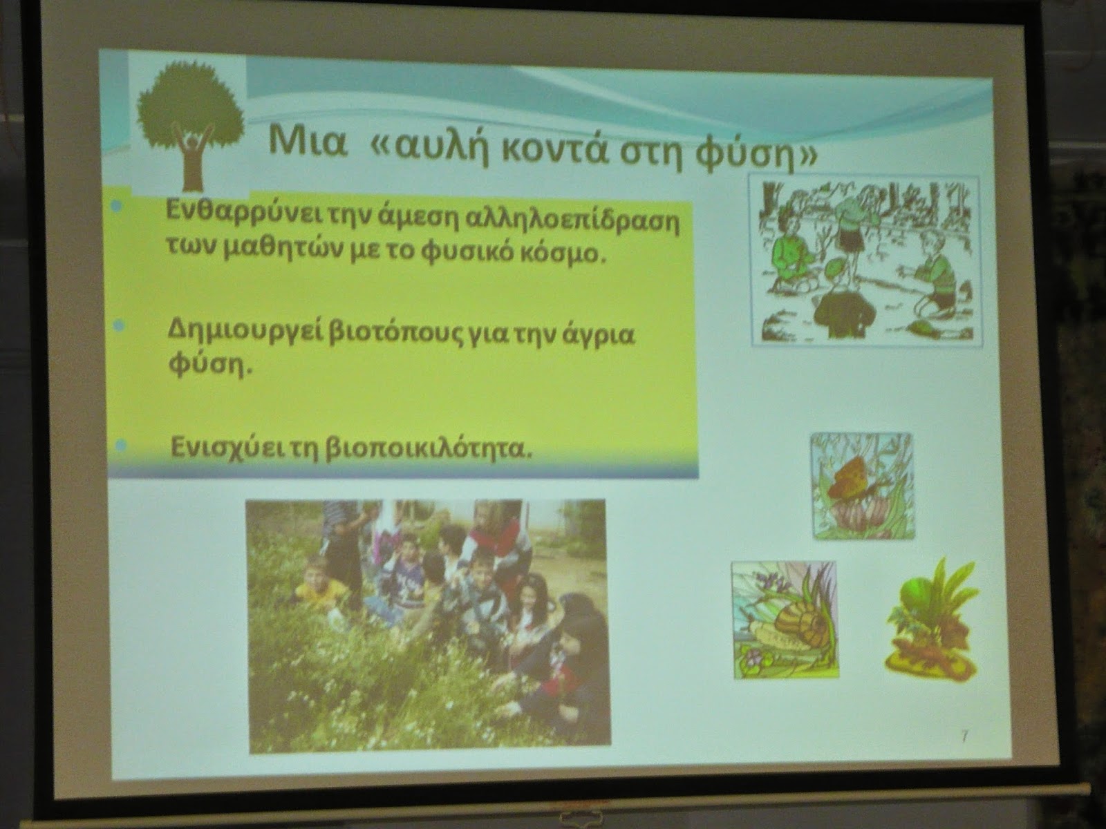 ΣΧΟΛΙΚΟΙ ΛΑΧΑΝΟΚΗΠΟΙ : ΟΙ ΚΗΠΟΙ ΤΩΝ ΣΧΟΛΕΙΩΝ ΤΗΣ Δ/ΣΗΣ Β/ΘΜΙΑΣ ΕΚΠ/ΣΗΣ ...