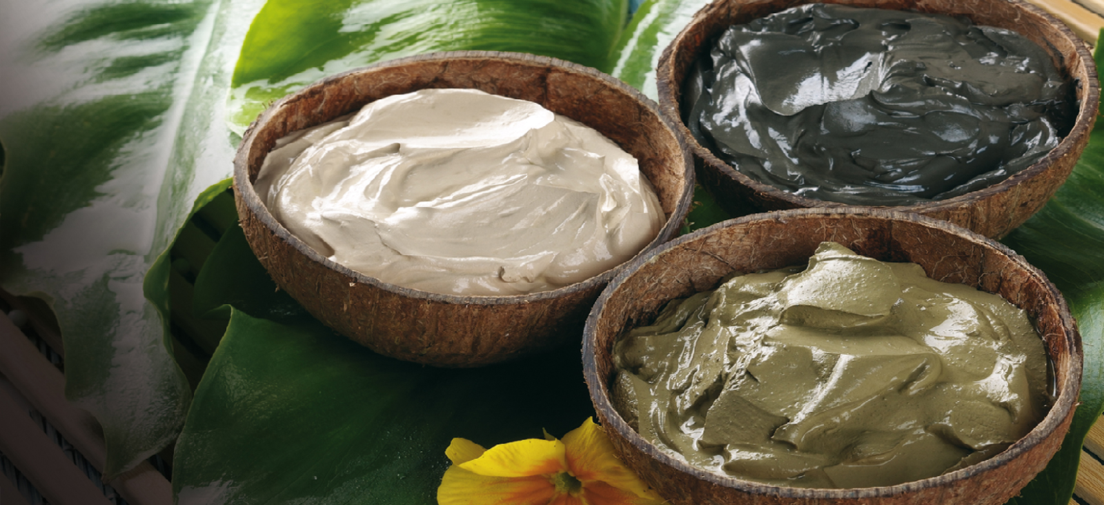 Fangoterapia - Terapias Integrales Milenarias