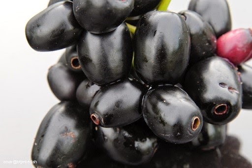 alamcyber 2020: BUAH KERIANG DOT ANGGUR MALAYSIA