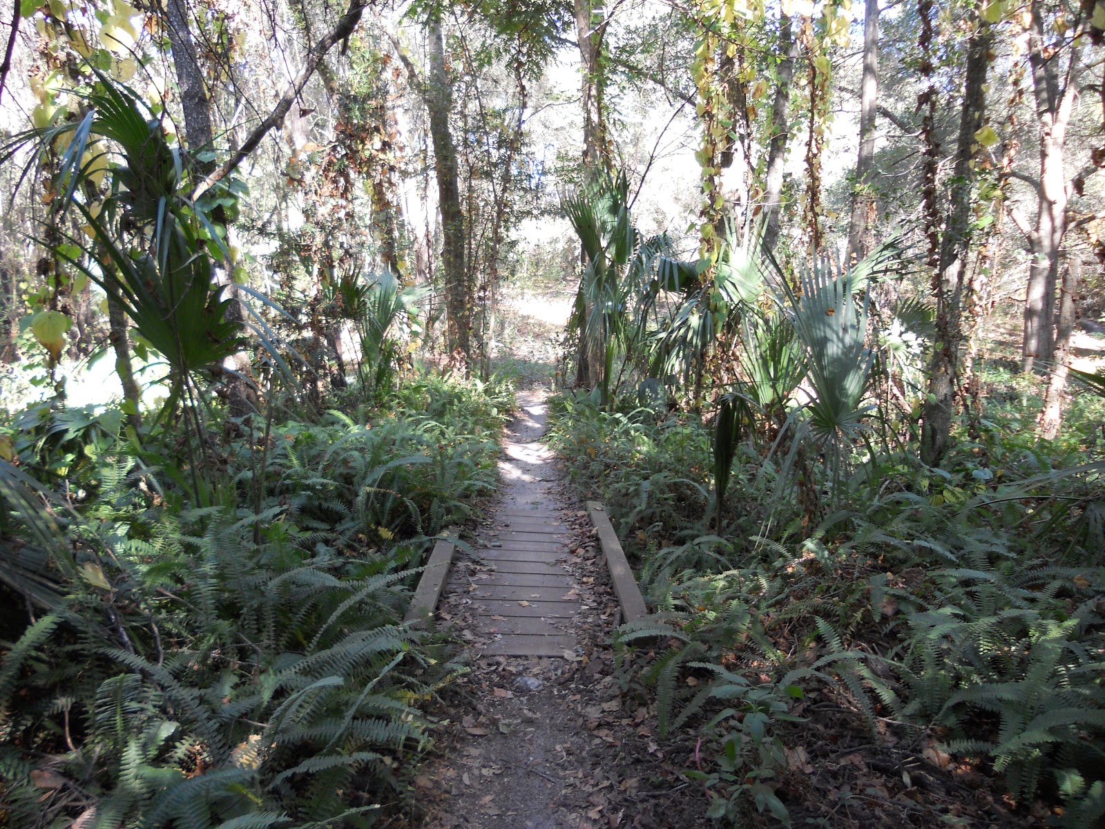 CENTRAL FLORIDA MOUNTAIN BIKE TRAILS