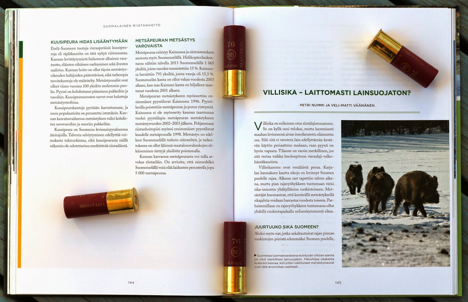 Metsästysblogi, riistareseptit - Terveiset ravintoketjun huipulta ...