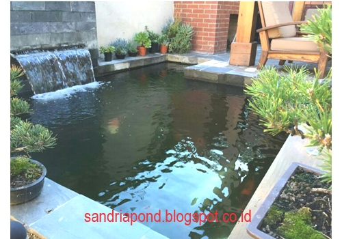 PROFESIONAL KOLAM KOI: KOLEKSI KOLAM KOI BARU