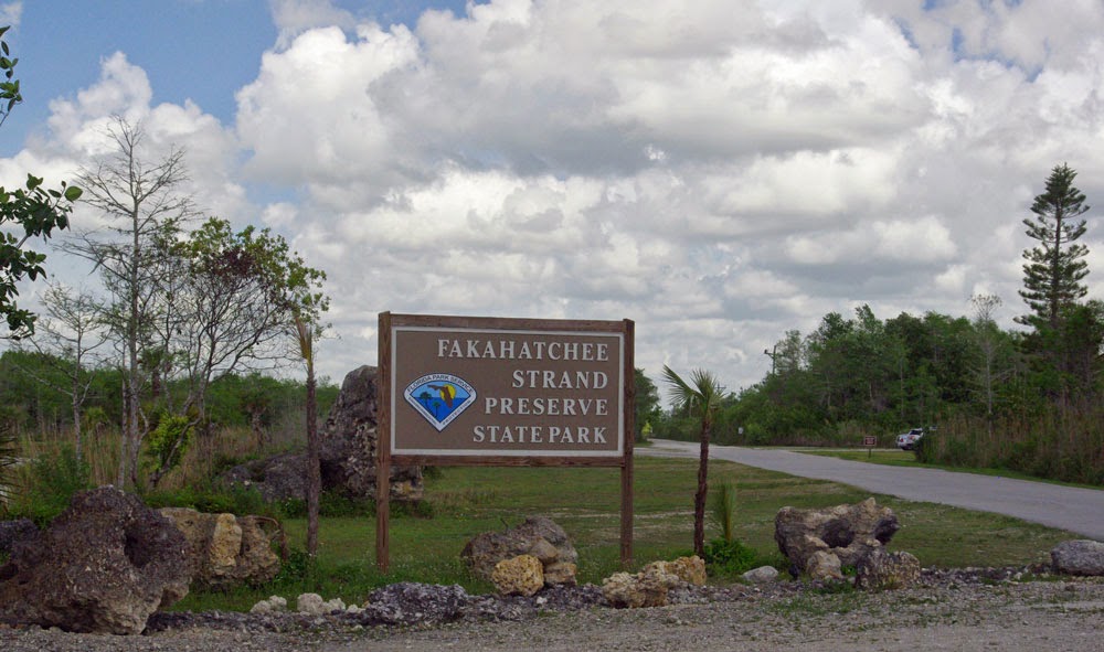 usbackroads™: Fakahatchee Strand Preserve State Park, Everglades City ...