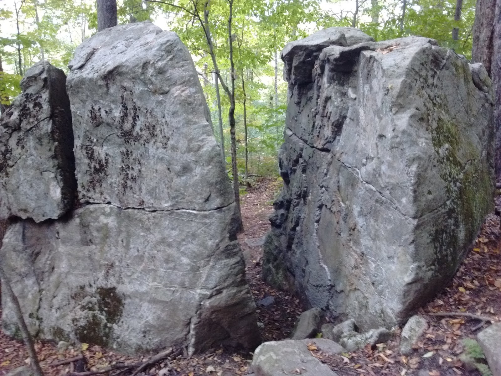 GLASTENBURY MOUNTAIN backpacking on the AT/LT in Vermont