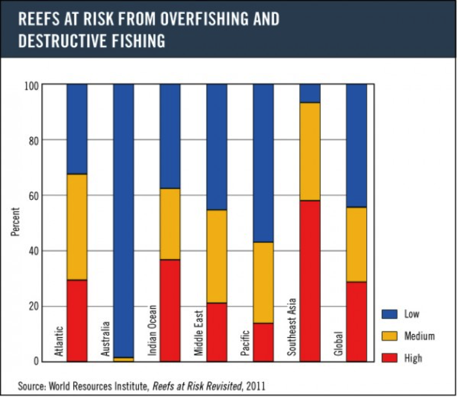 The Coral Reefs of Southeast Asia: The Coral Triangle