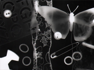 Kimberley Photography: Photograms