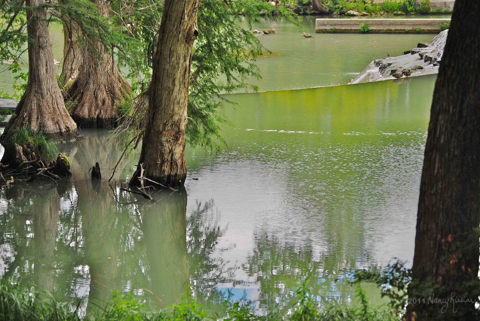 Wild About Texas: Seguin Landmarks...Saffold Dam