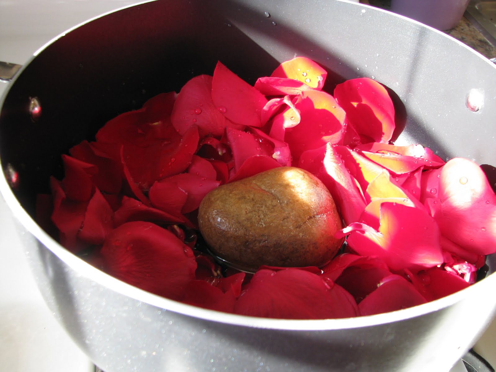 Incredibly Homemade: Rose Essence - A right-from-scratch method to ...