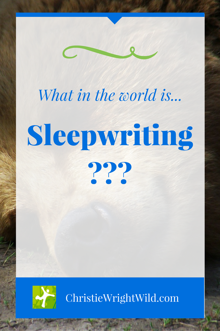 Write Wild: SLEEPWRITING