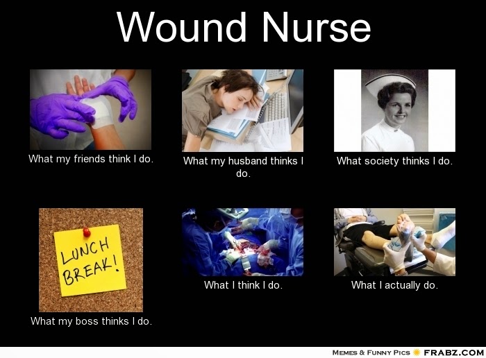 Katie Ferrell Blog 2015: Blog 1- Meme