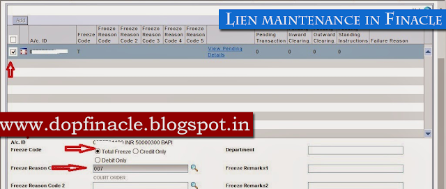 Account Maintenance Freeze in DOP Finacle