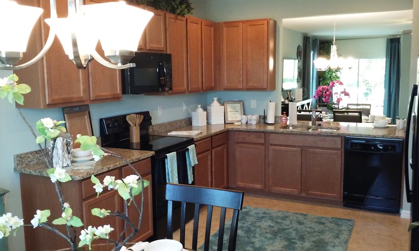 Rapalo | More Construction Progress | New Homes in Venice FL