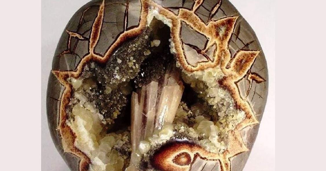 What Is a Septarian Concretion?