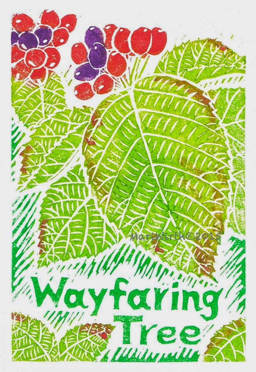 Tree Leaf Freak: Leaves Calendars