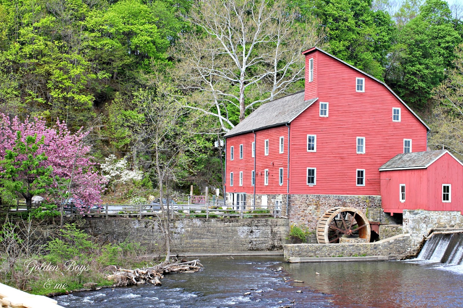 Golden Boys & Me: 2015