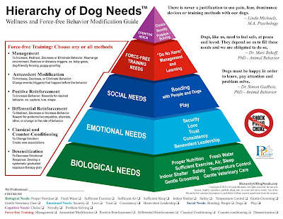 Hierarchy of a dog's needs