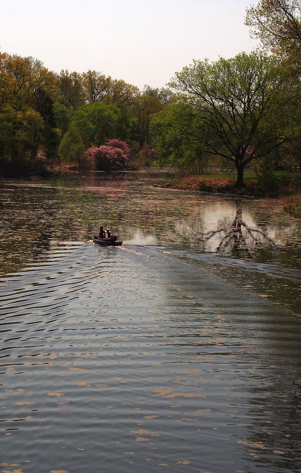 Gillette On Hillsborough: Spring at Duke Farms