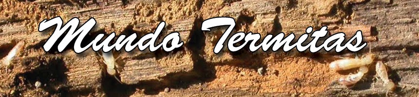 Prevención y control de Termitas o Comejenes: ¿Qué debe recibir el ...