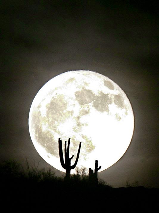 Strawberry Moon in June