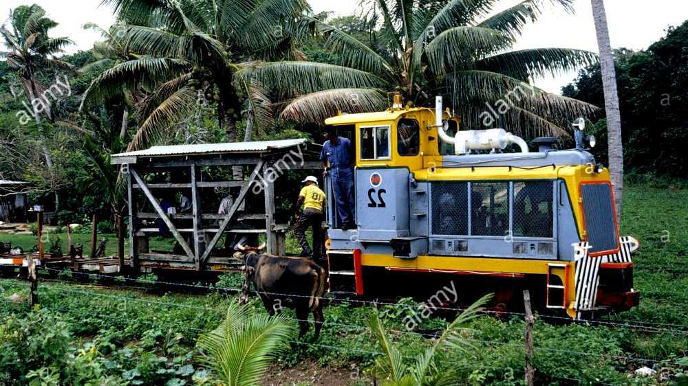Rail transport in Fiji