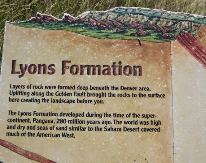 Woven Minutia: Hiking in South Valley Park