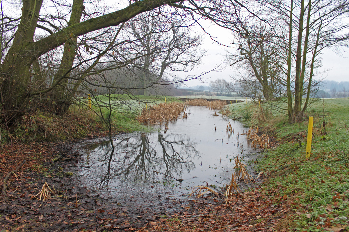 Captain Ahab's Watery Tales: Donnington Wood Canal - Muxton to Abbey ...