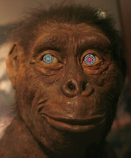 Lucy the Ape Still Out of Our Lineage