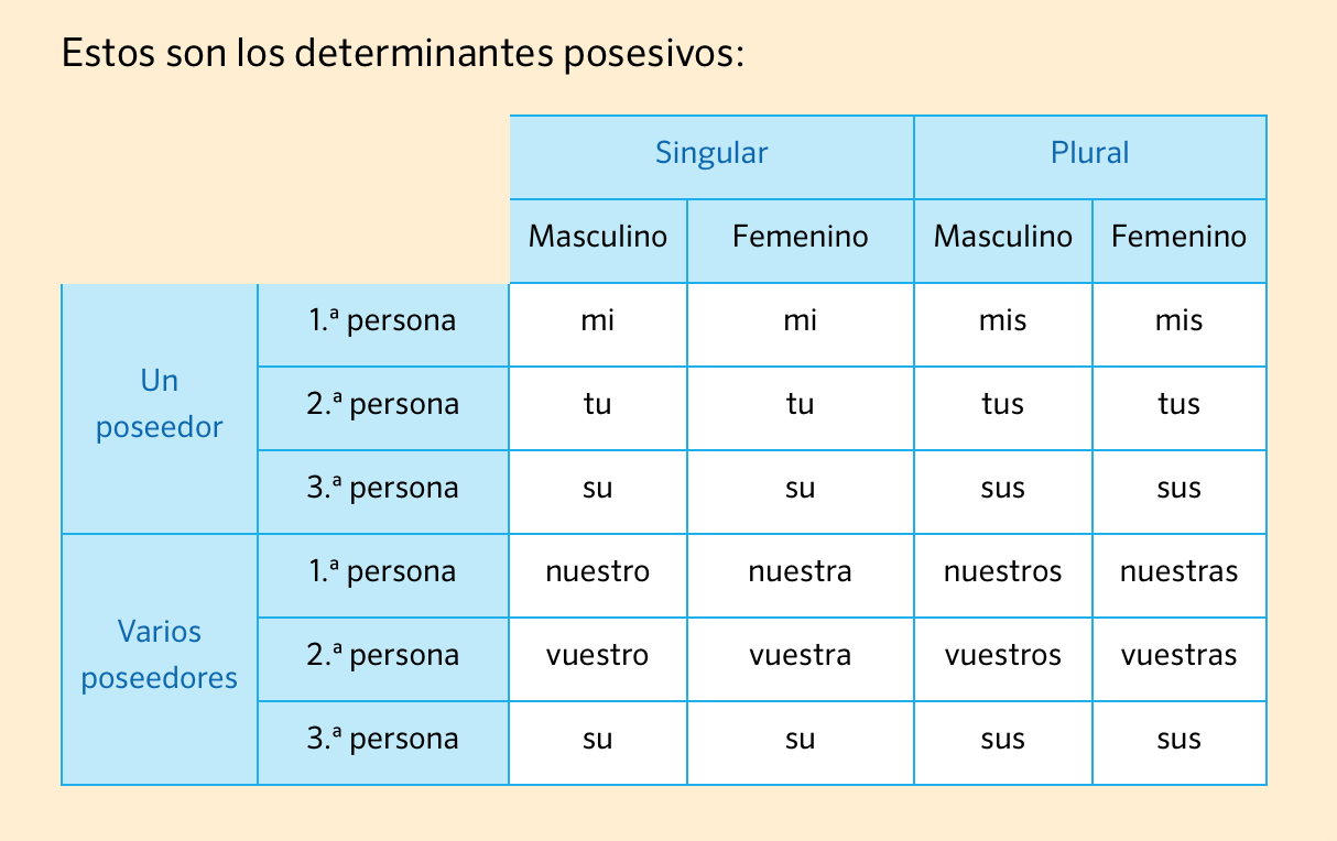 6º de Primaria: DETERMINANTES POSESIVOS