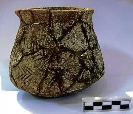 THE VISAYAN REPUBLIC