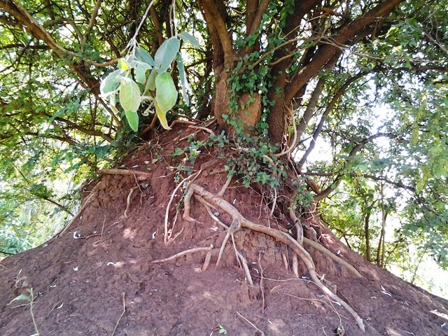 ENCOUNTER MALAWI: Mbona - The Rain Maker