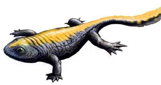 Blog de la Vida Prehistórica: Eucritta