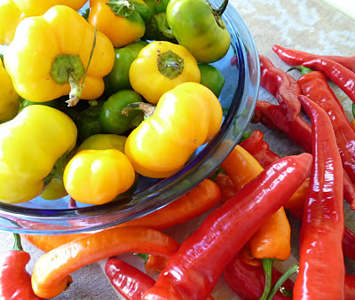 Doe Hill Peppers Jimmy Nardello Sweet Italian Frying Peppers | Za Recipes