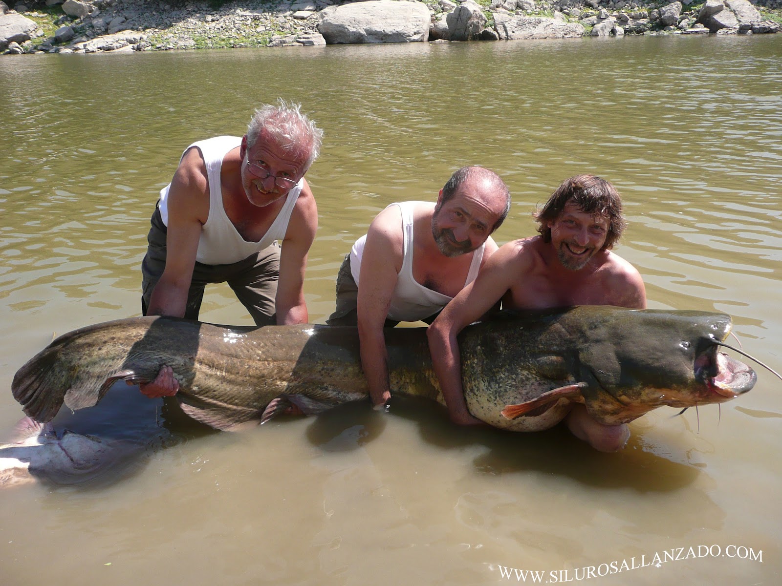 PESCA DEL SILURO EN EL EBRO: PESCA GUIADA DEL SILURO - NUEVO RECORD ...