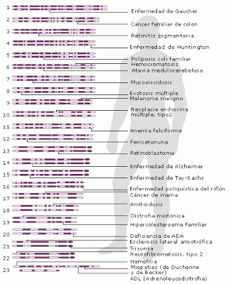 Proyecto del genoma humano.