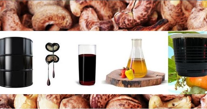 Cashew Nut Shell Liquid