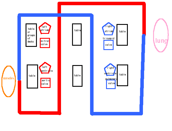 Science Alive: Circulatory System Lab