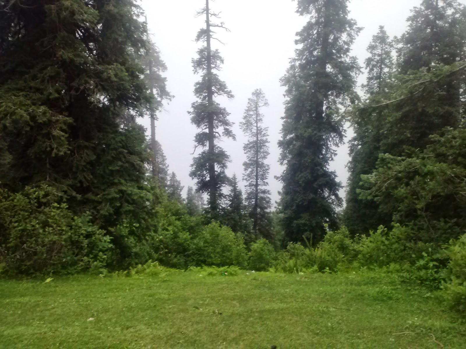 TourPakistan: Thandiani; A gripping tour for the life time