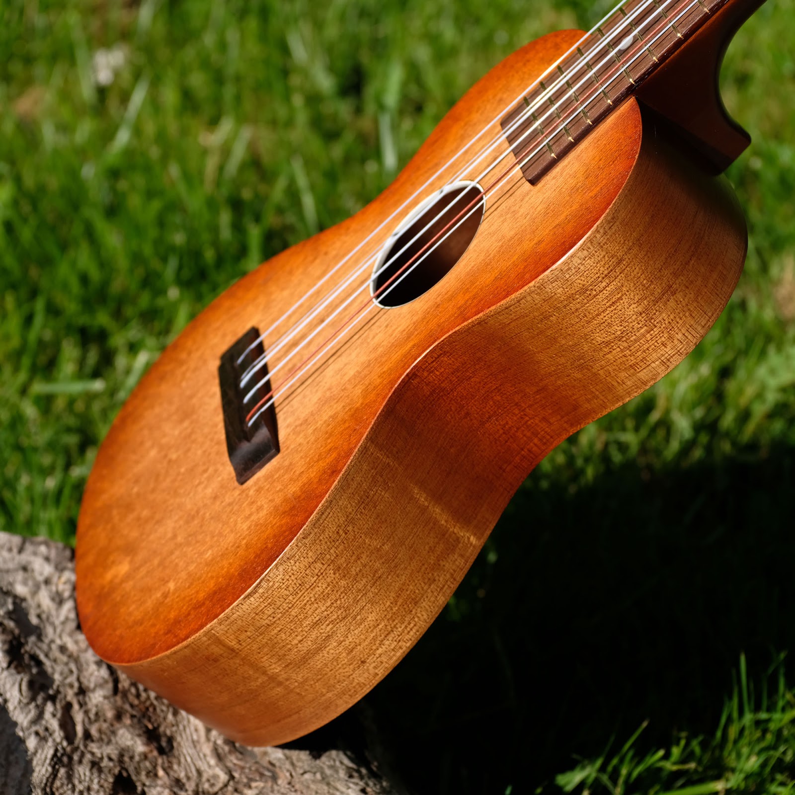 2000s Bruko 6-String Concert Ukulele (Conversion)