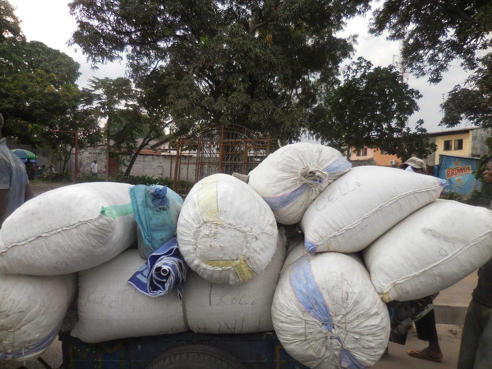 Anne-Marie Makombo Kamwanya: Profession : Pousse-Pousseur. Mais à ...