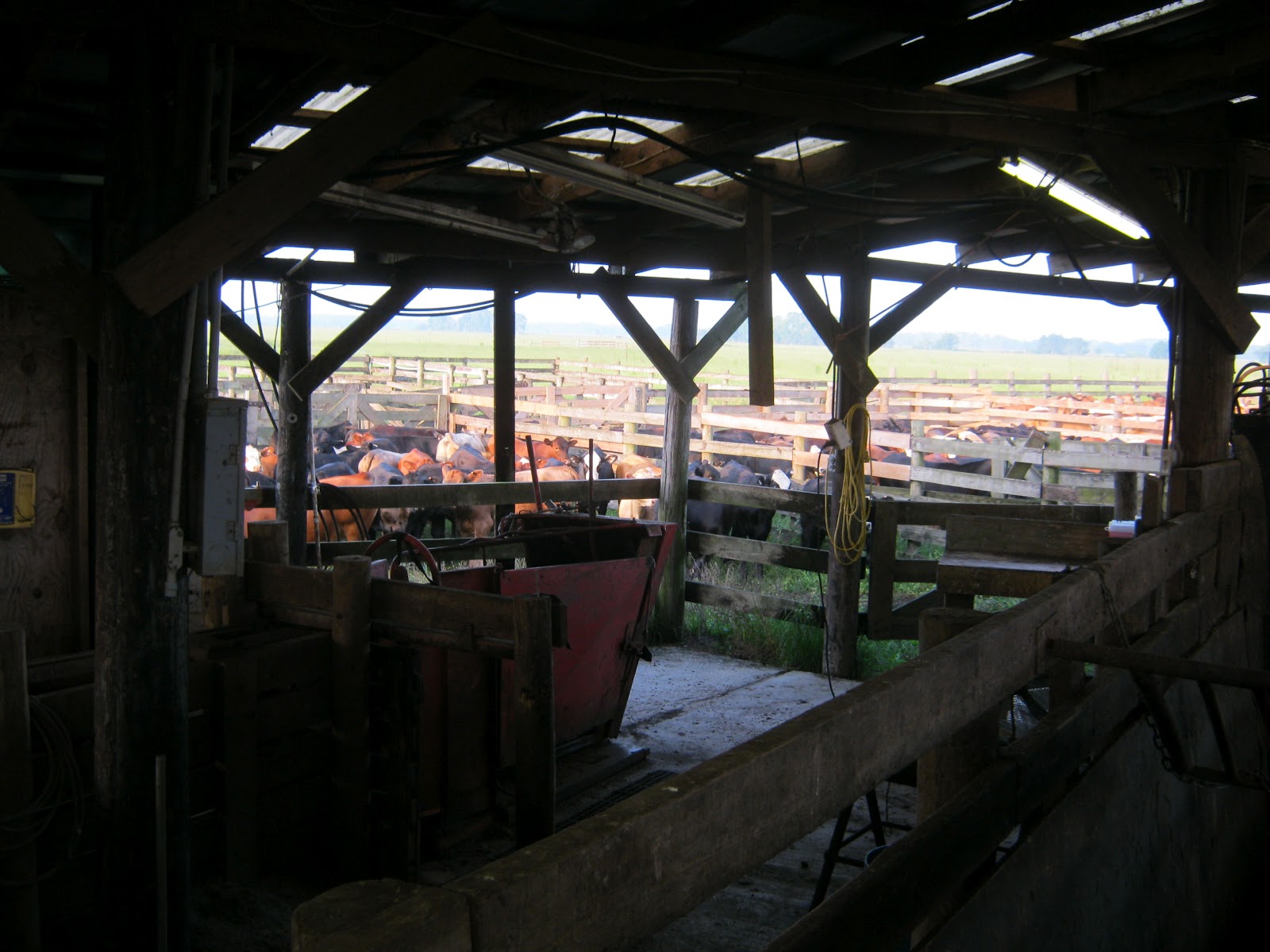 Kennedy Ranch Mission