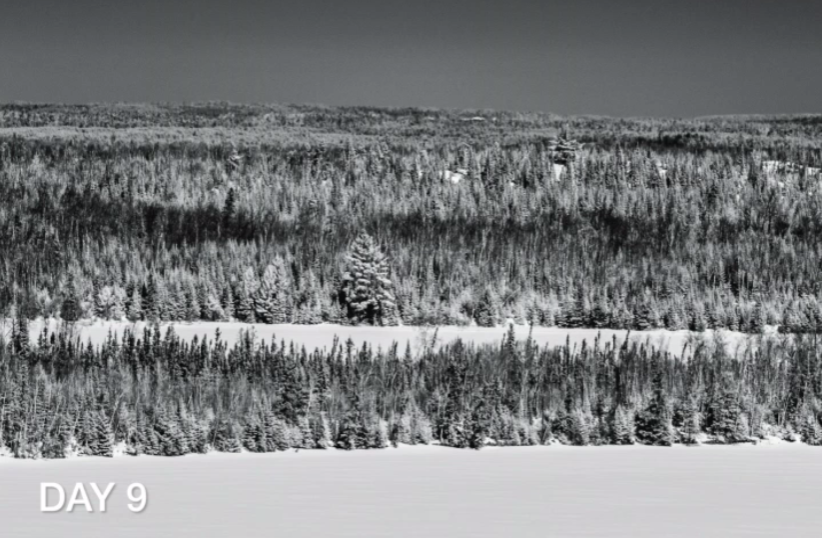 bensozia: Jim Brandenburg, 93 Days of Spring