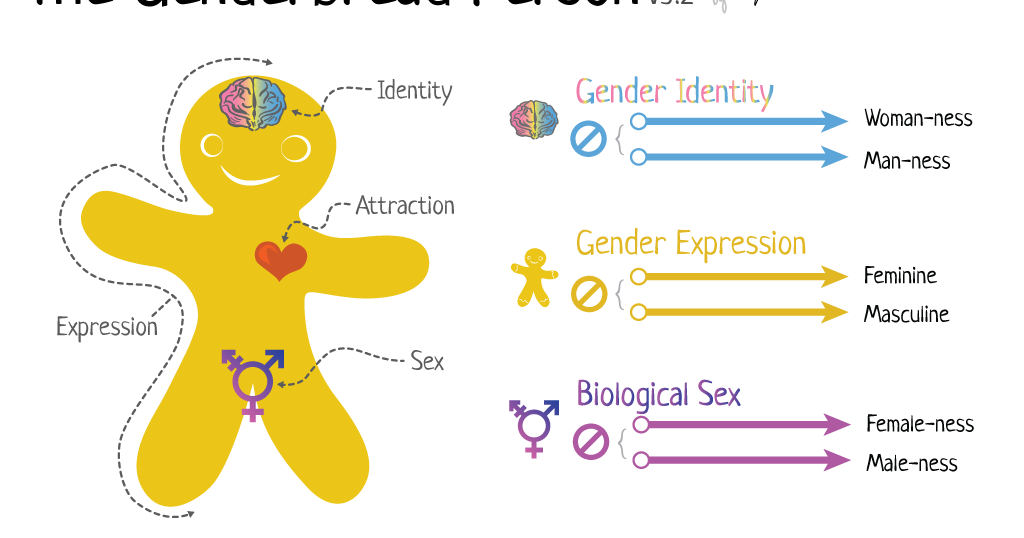 Hidden Truth, Veiled Beauty: The Genderbread Person